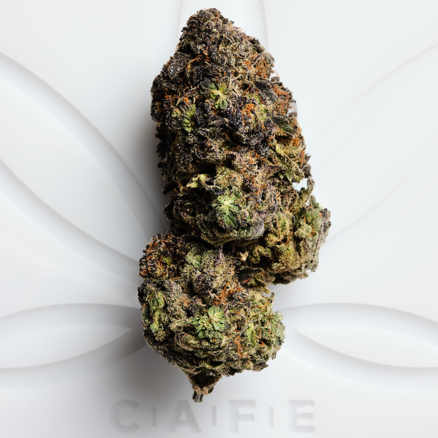 Larry Bird Strain | CAFE