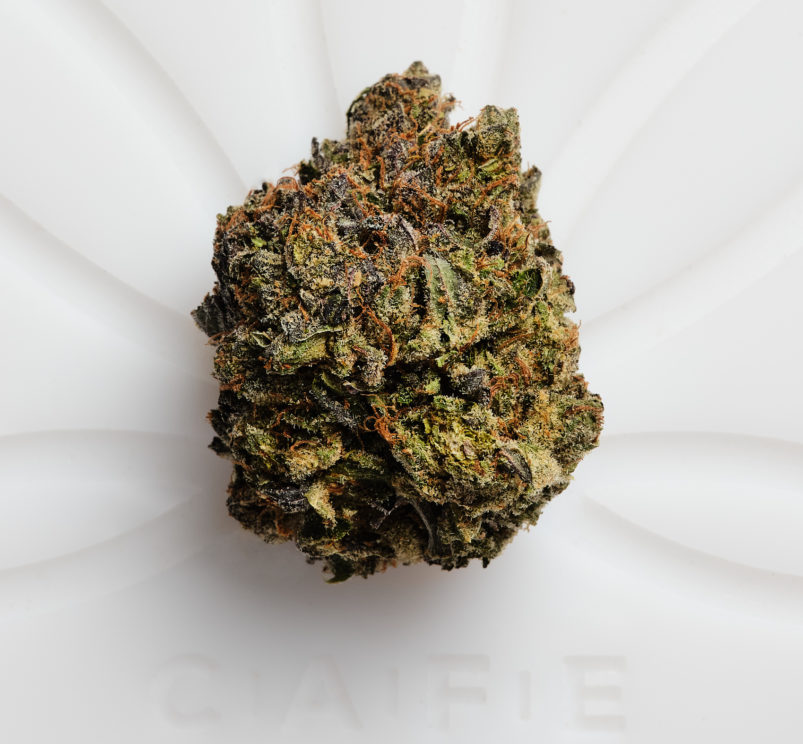 Gassy Taffy Strain | CAFE