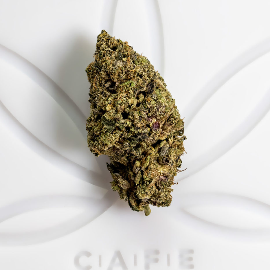 Island Pink Kush Strain | CAFE Island Pink Kush Strain | CAFE
