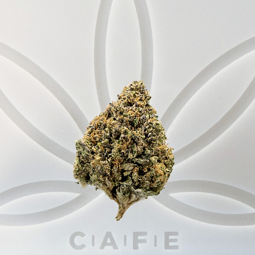 Blue Goo Strain | CAFE