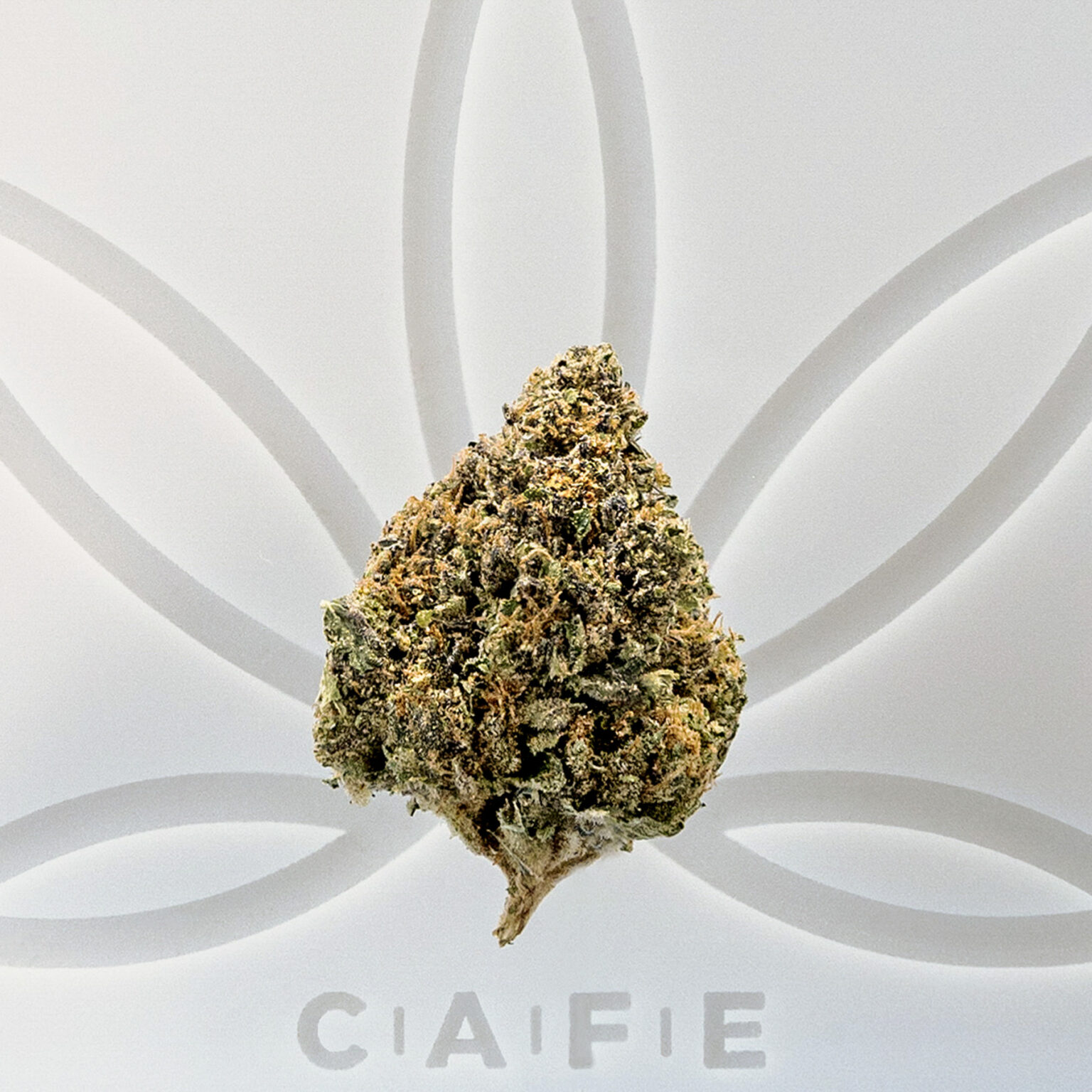 Blue Goo Strain | CAFE