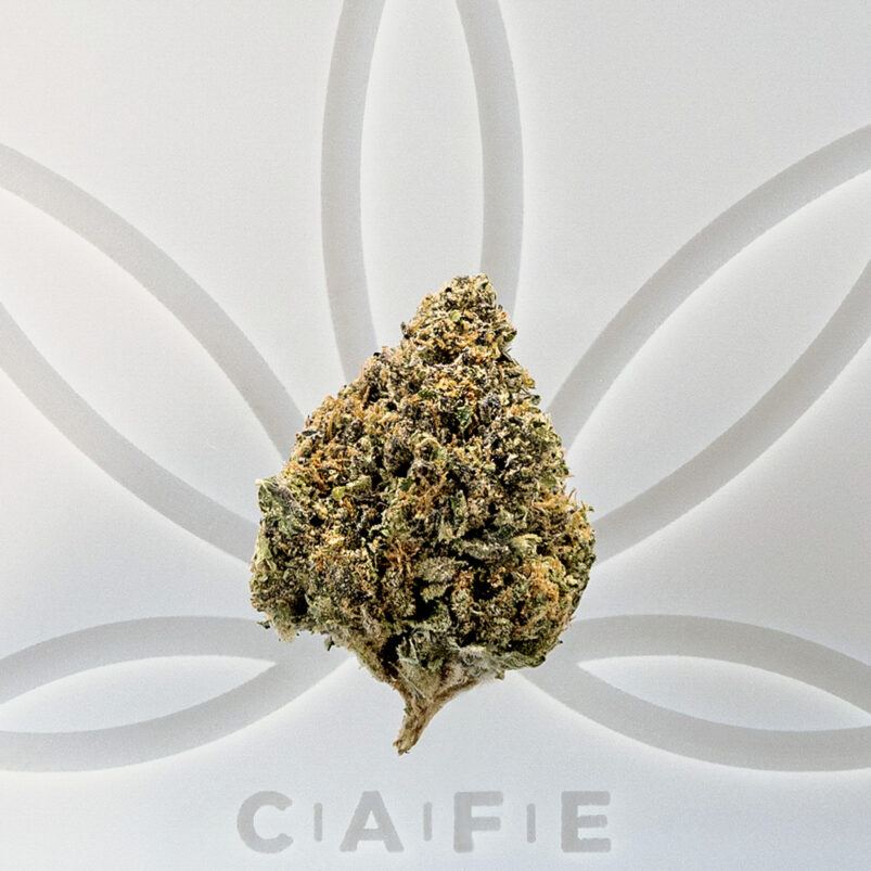 Blue Goo Strain | CAFE