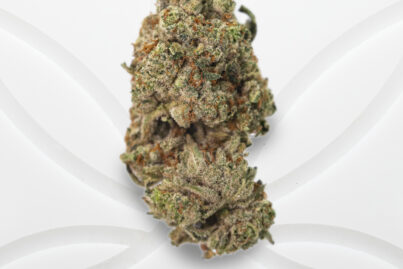 Lazer Fuel Strain | CAFE