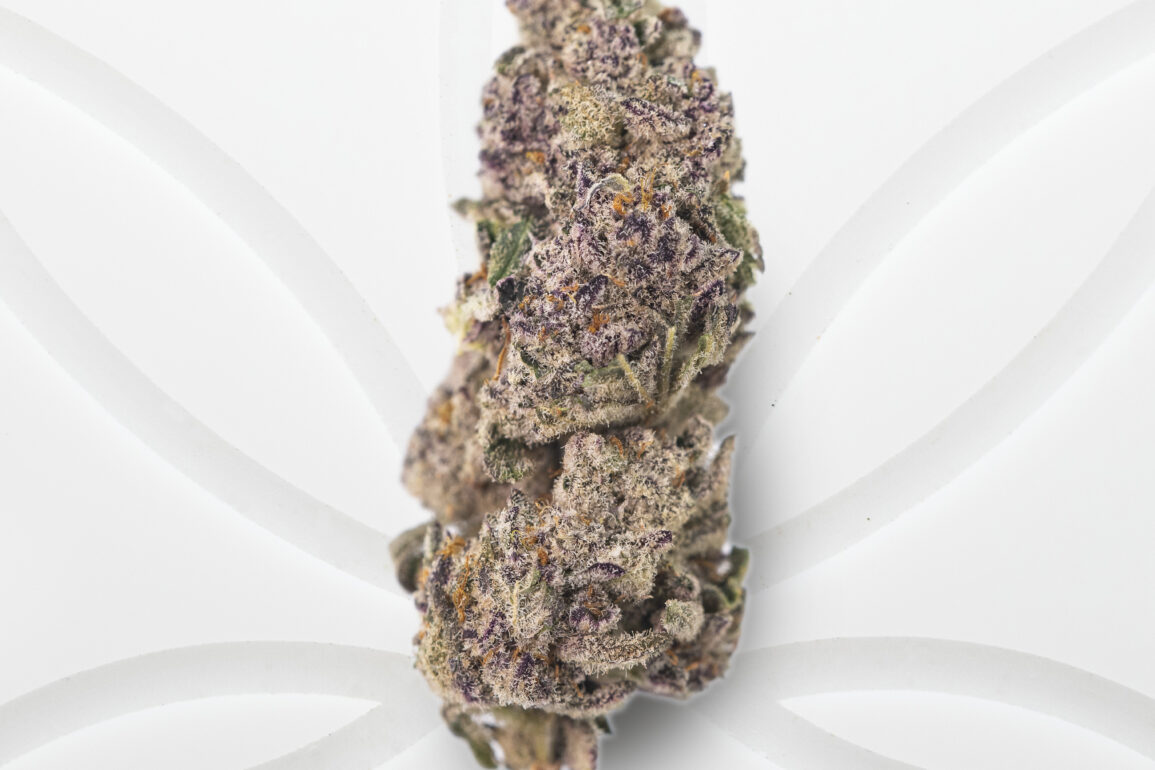 Neon Sunshine Strain | CAFE