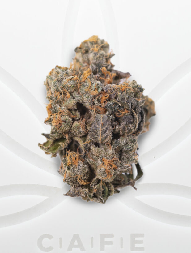 CAFE - Toronto Dispensary | Cannabis and Fine Edibles