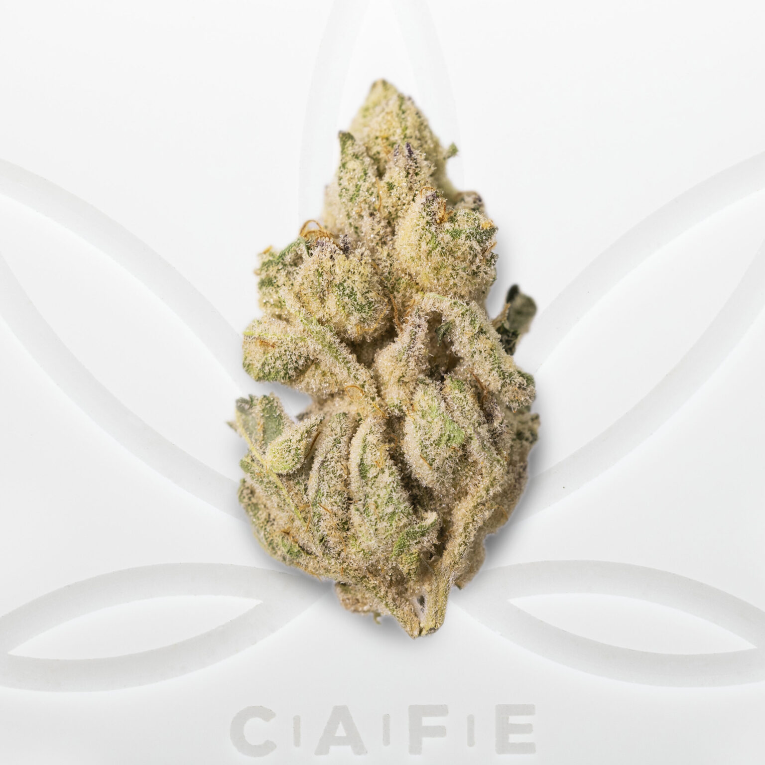 Apple Jack Strain | CAFE