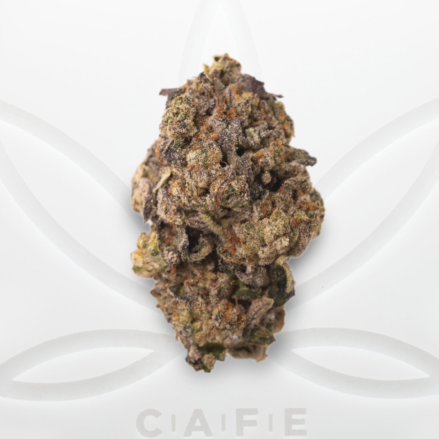 Apple Jack Strain | CAFE
