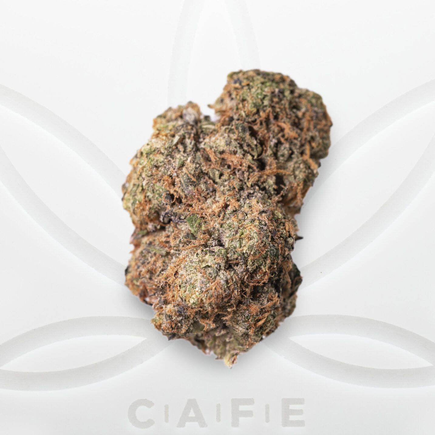 Apple Jack Strain | CAFE