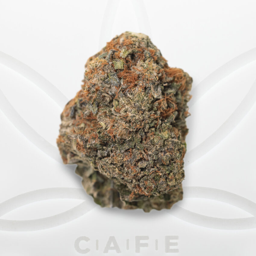 Gas Face Strain | CAFE