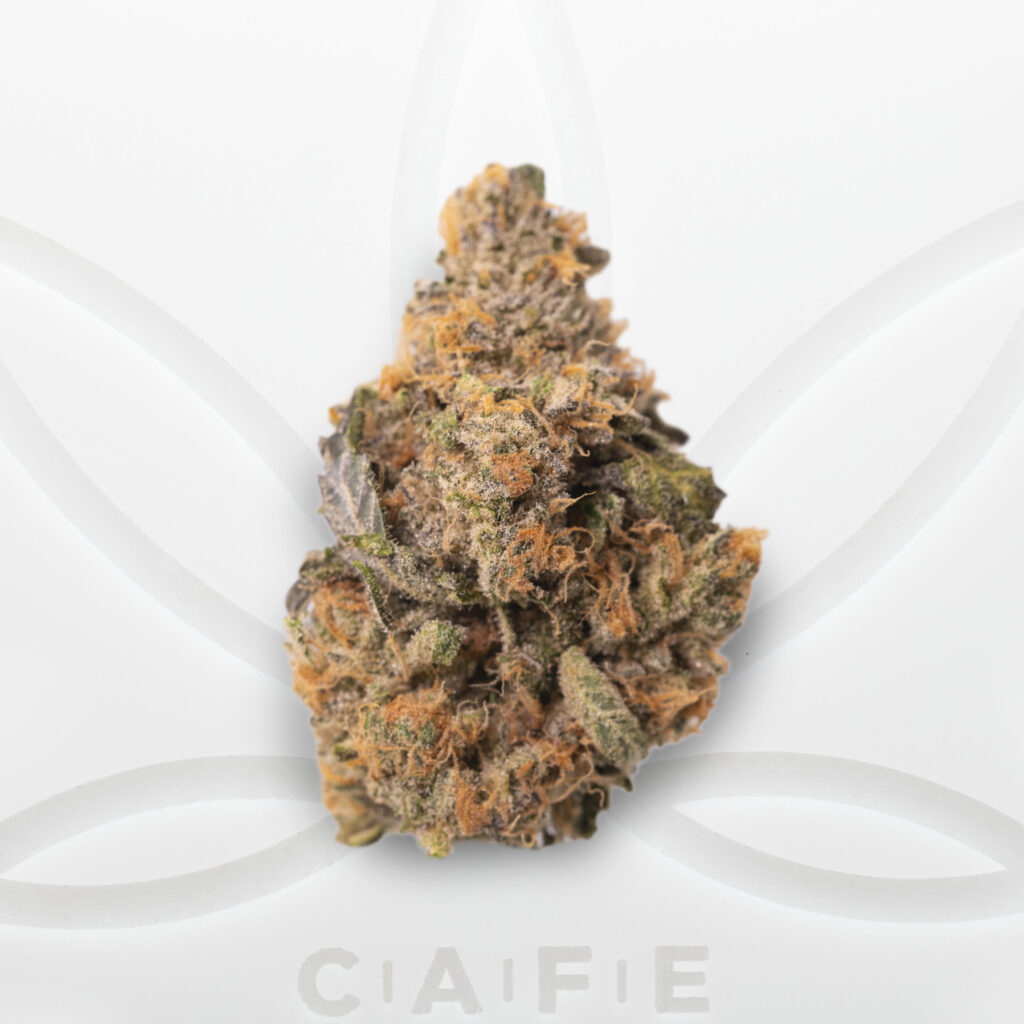Mango Haze Strain | CAFE