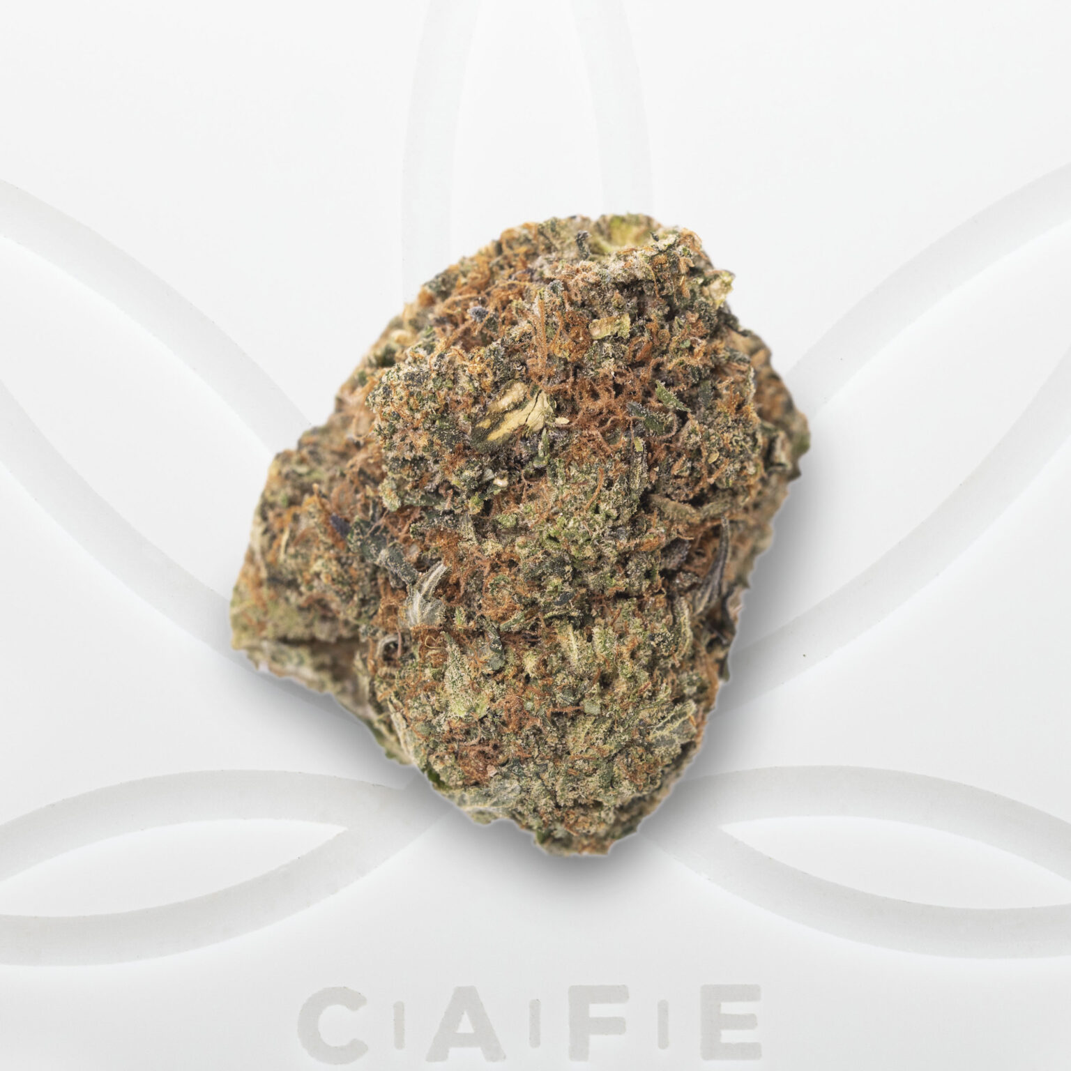 Gas Face Strain | CAFE