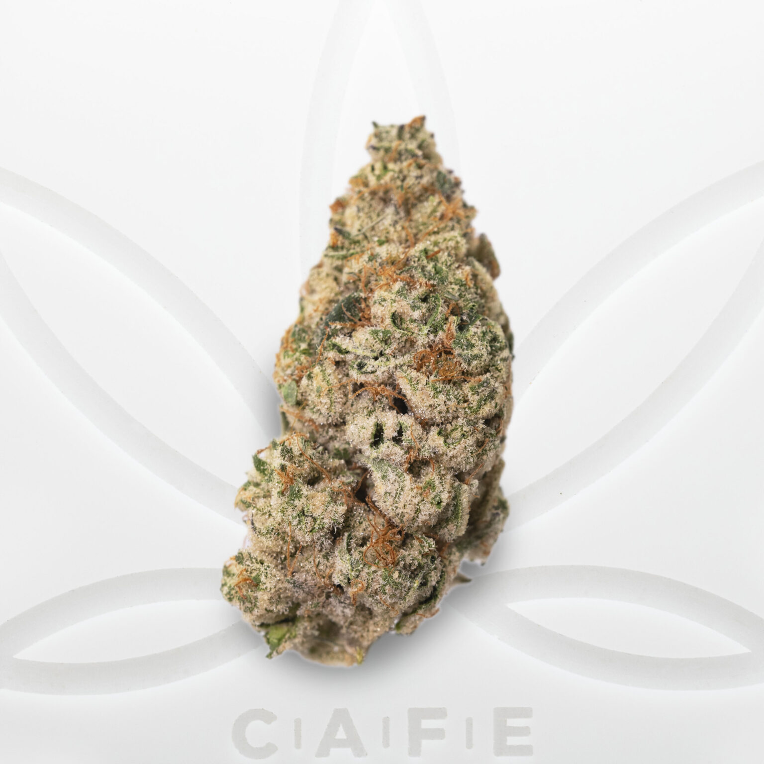 Lazer Fuel Strain | CAFE