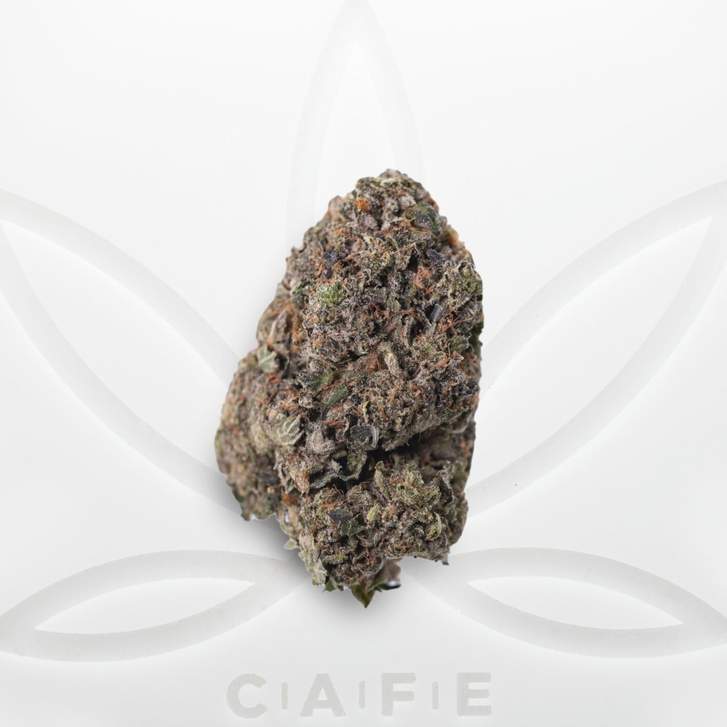 Atomic Pink Strain | CAFE